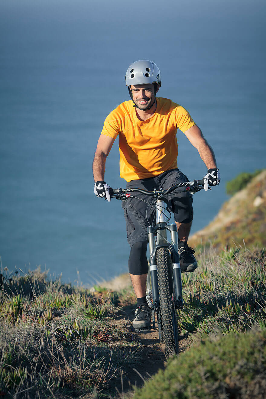 Pet Dander To Dust Mites: A Comprehensive Allergen Analysis - Merida ...